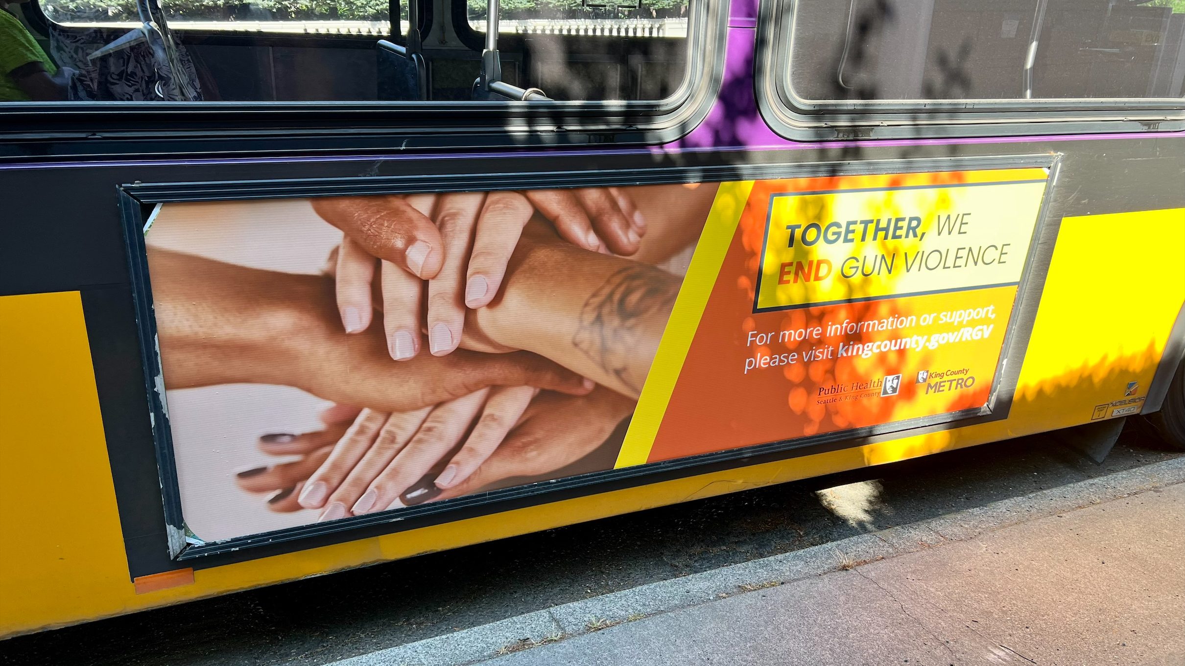 A public health approach to gun violence: King County Regional Office ...