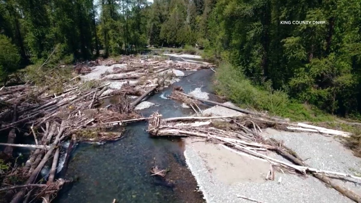 How drowning risk is different since the 2025 floods: What you need to ...