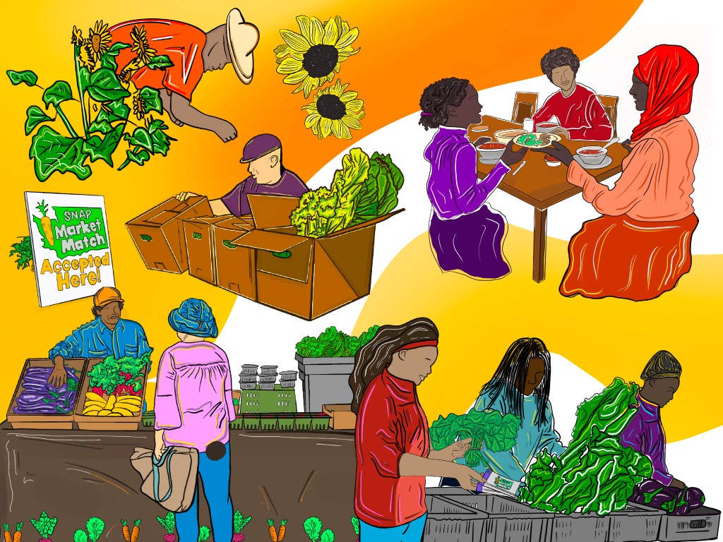Local solutions to food insecurity – PUBLIC HEALTH INSIDER